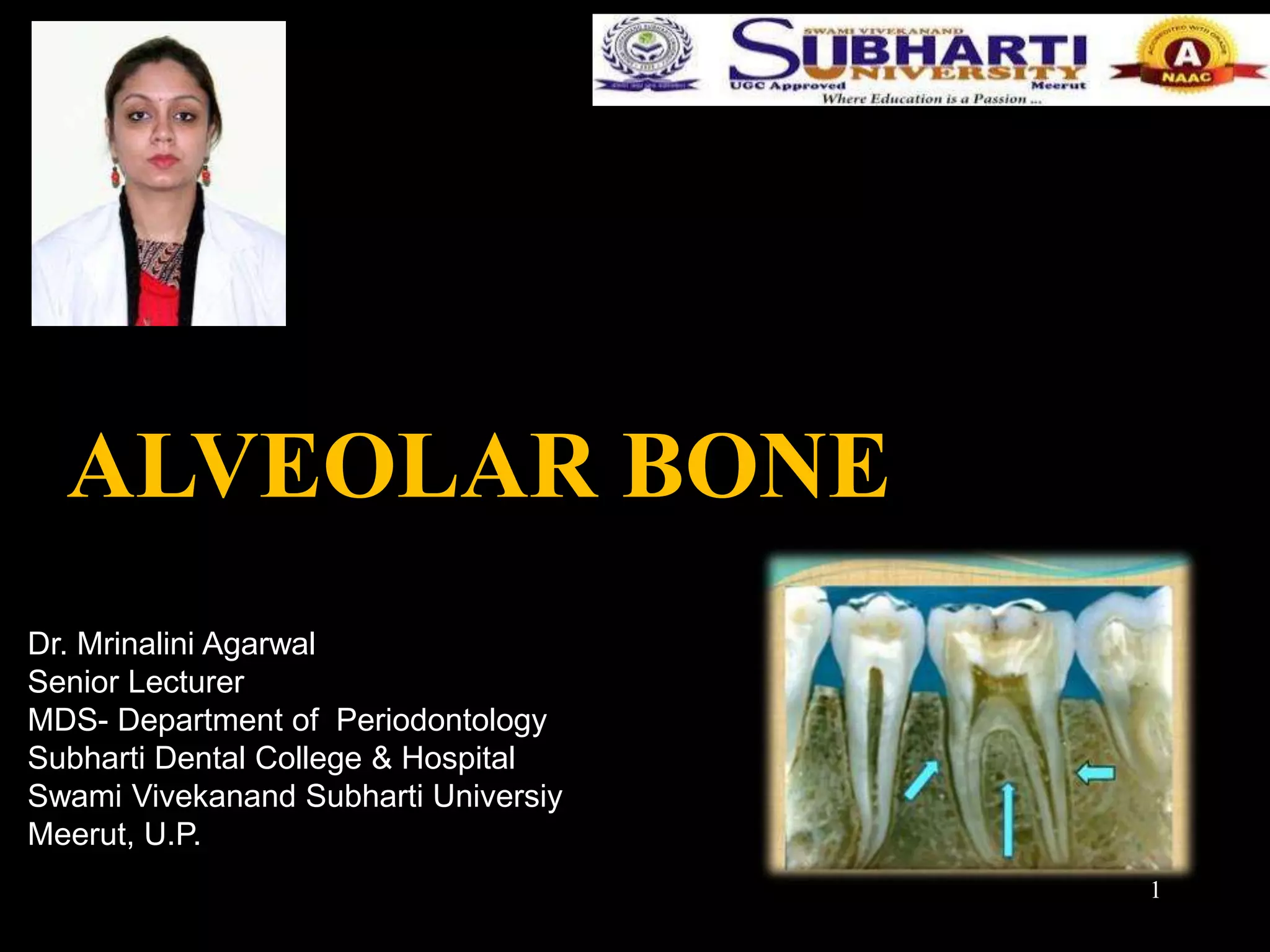Alveolar-Bone-2020724131100.ppt