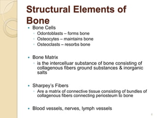 Alveolar bone | PPTX