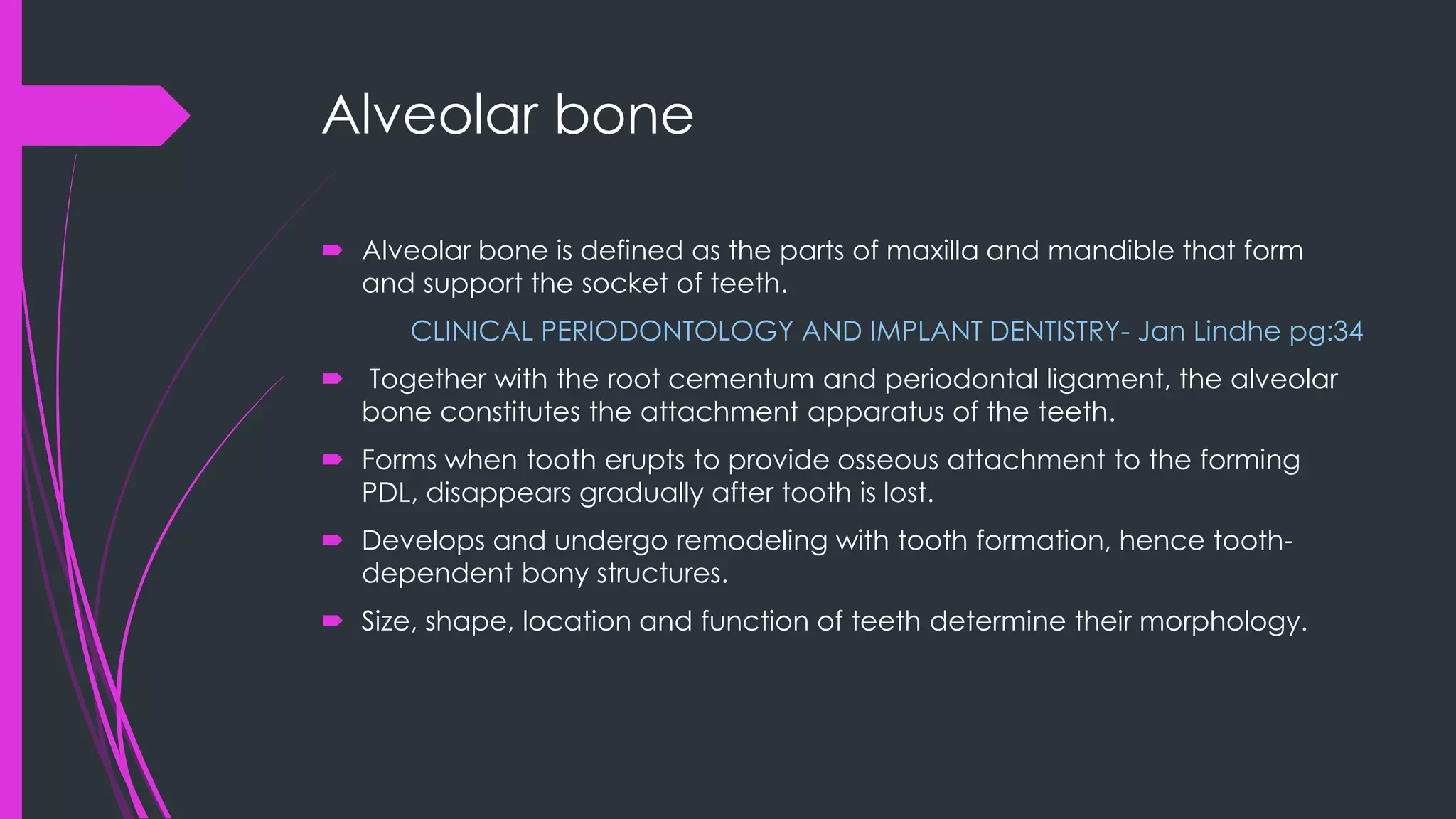 Alveolar bone | PPTX