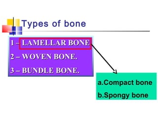 Alveolar bone | PPT