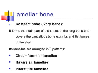 Alveolar bone | PPT