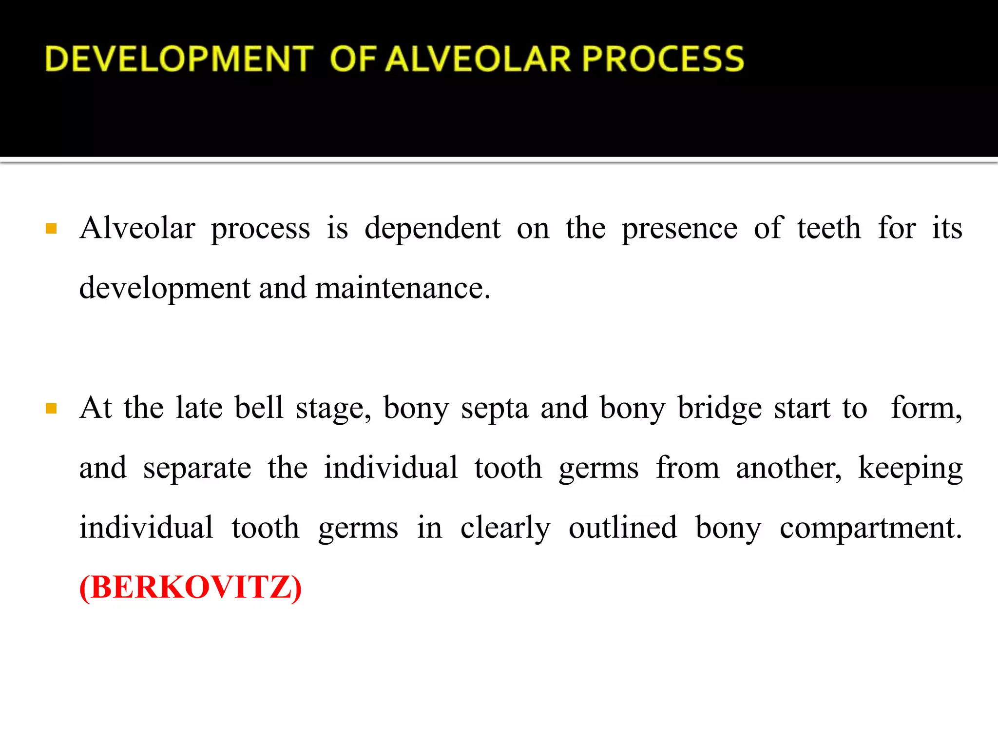 Alveolar bone | PPTX