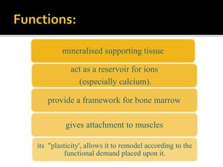 Alveolar bone | PPTX