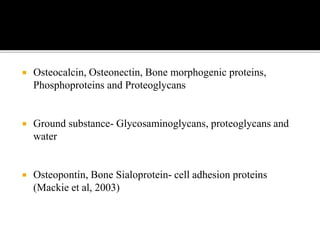 Alveolar dead space formula - jopoyellow