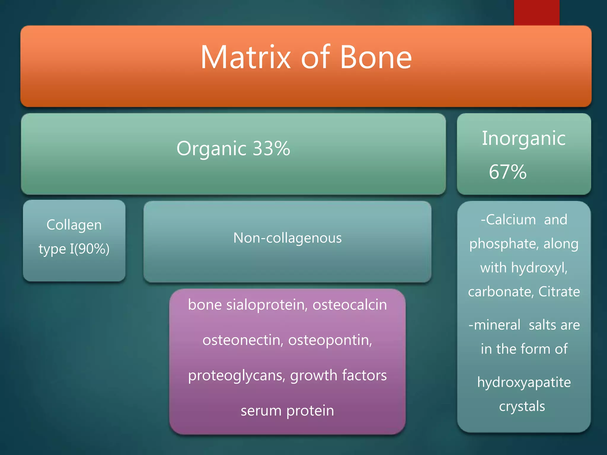 Alveolar bone | PPTX