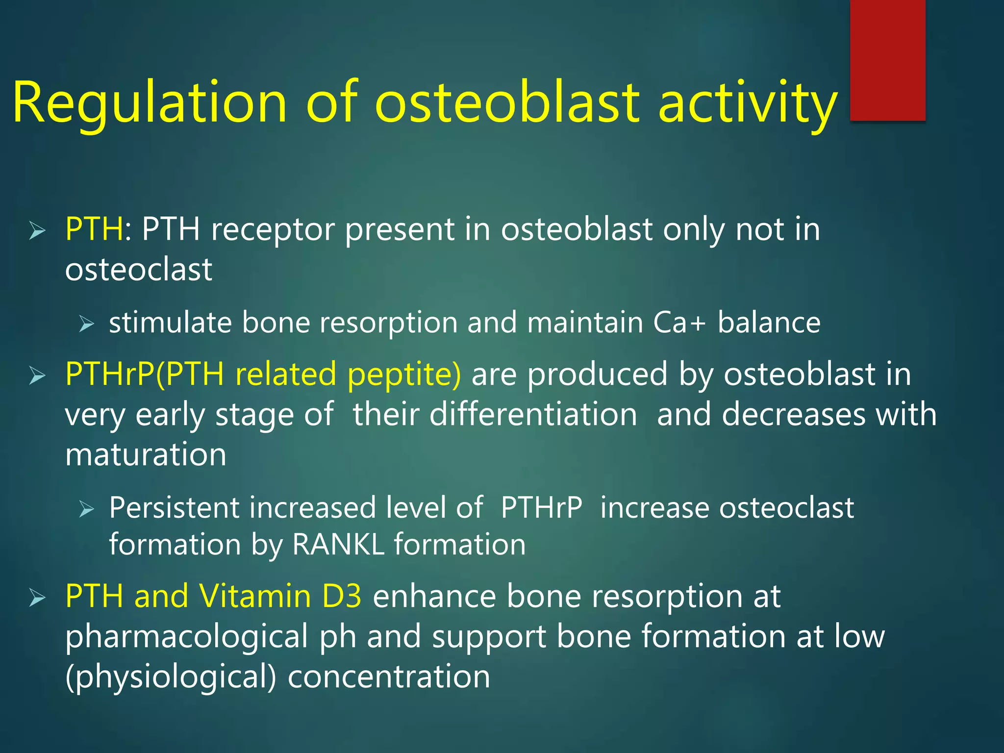 Alveolar bone | PPTX