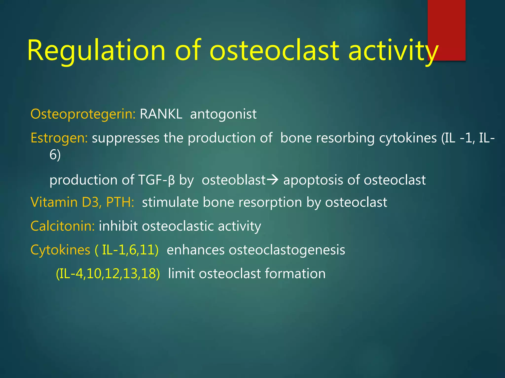 Alveolar bone | PPTX