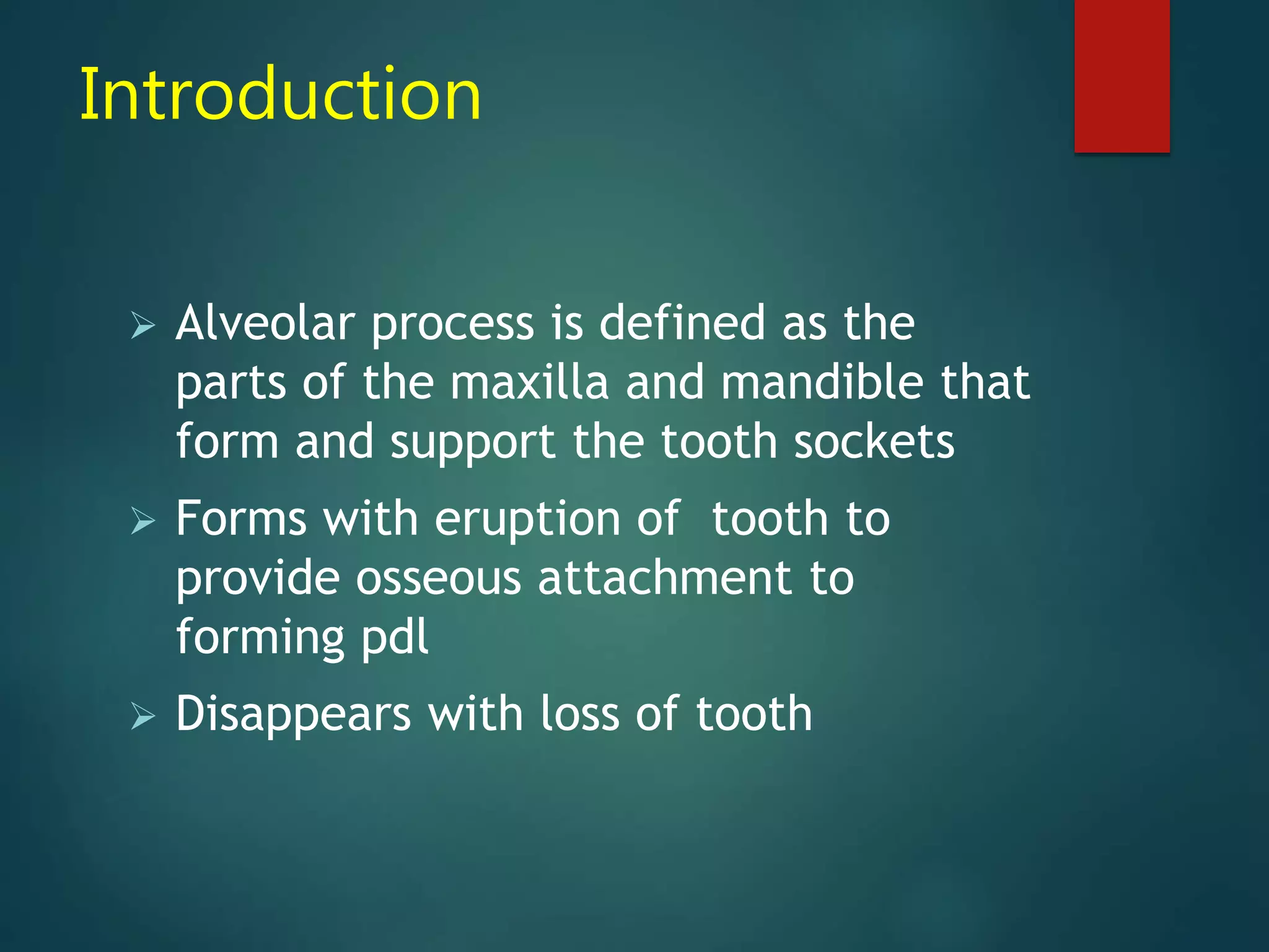 Alveolar bone | PPTX