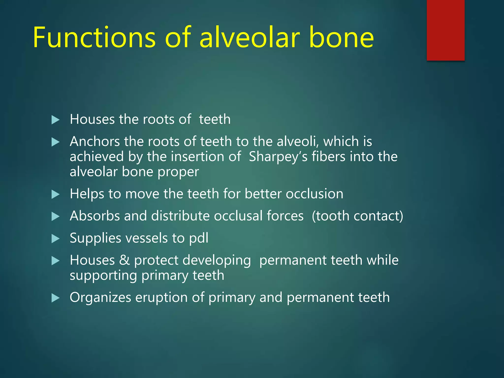 Alveolar bone | PPTX
