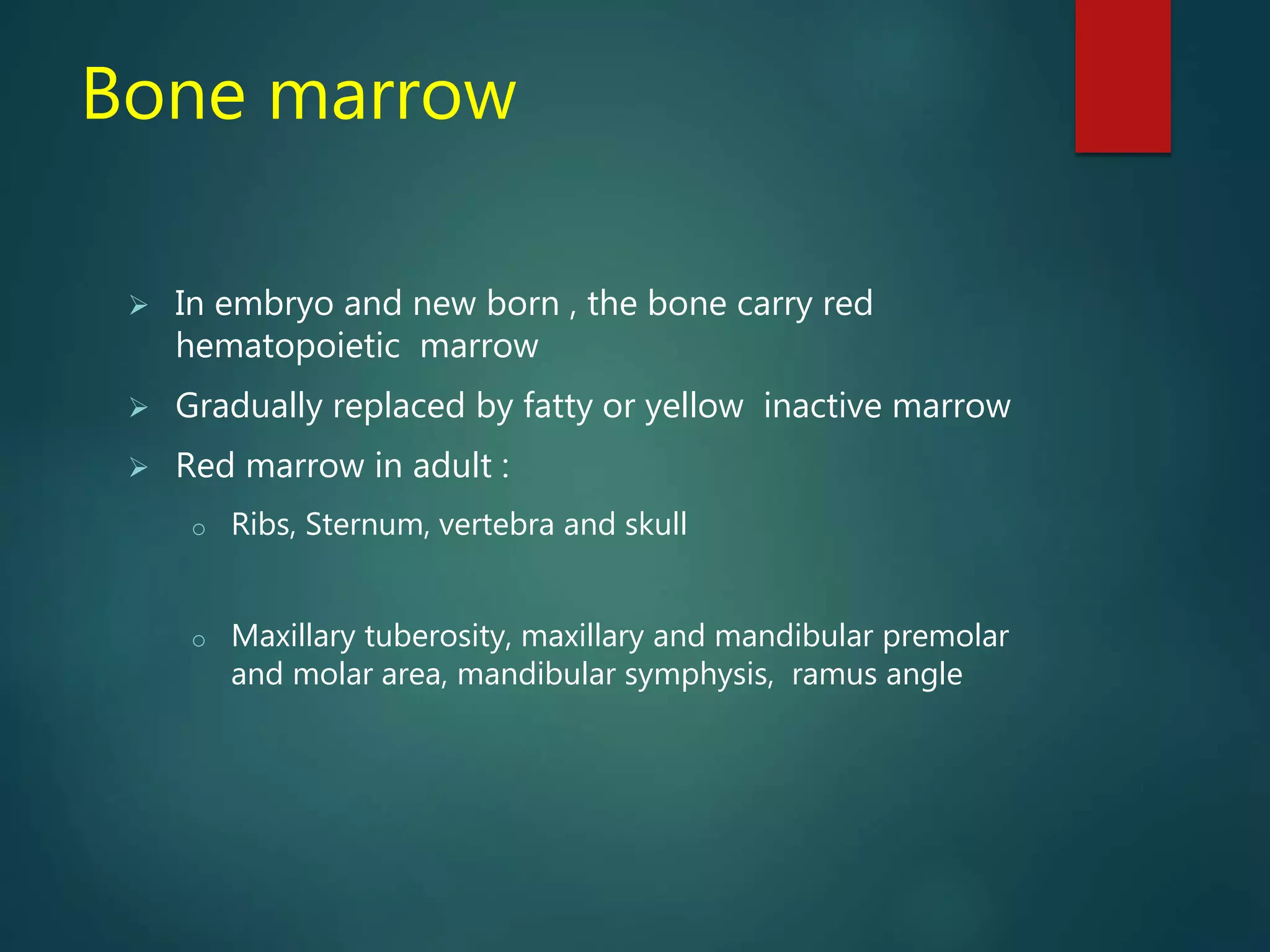 Alveolar bone | PPTX