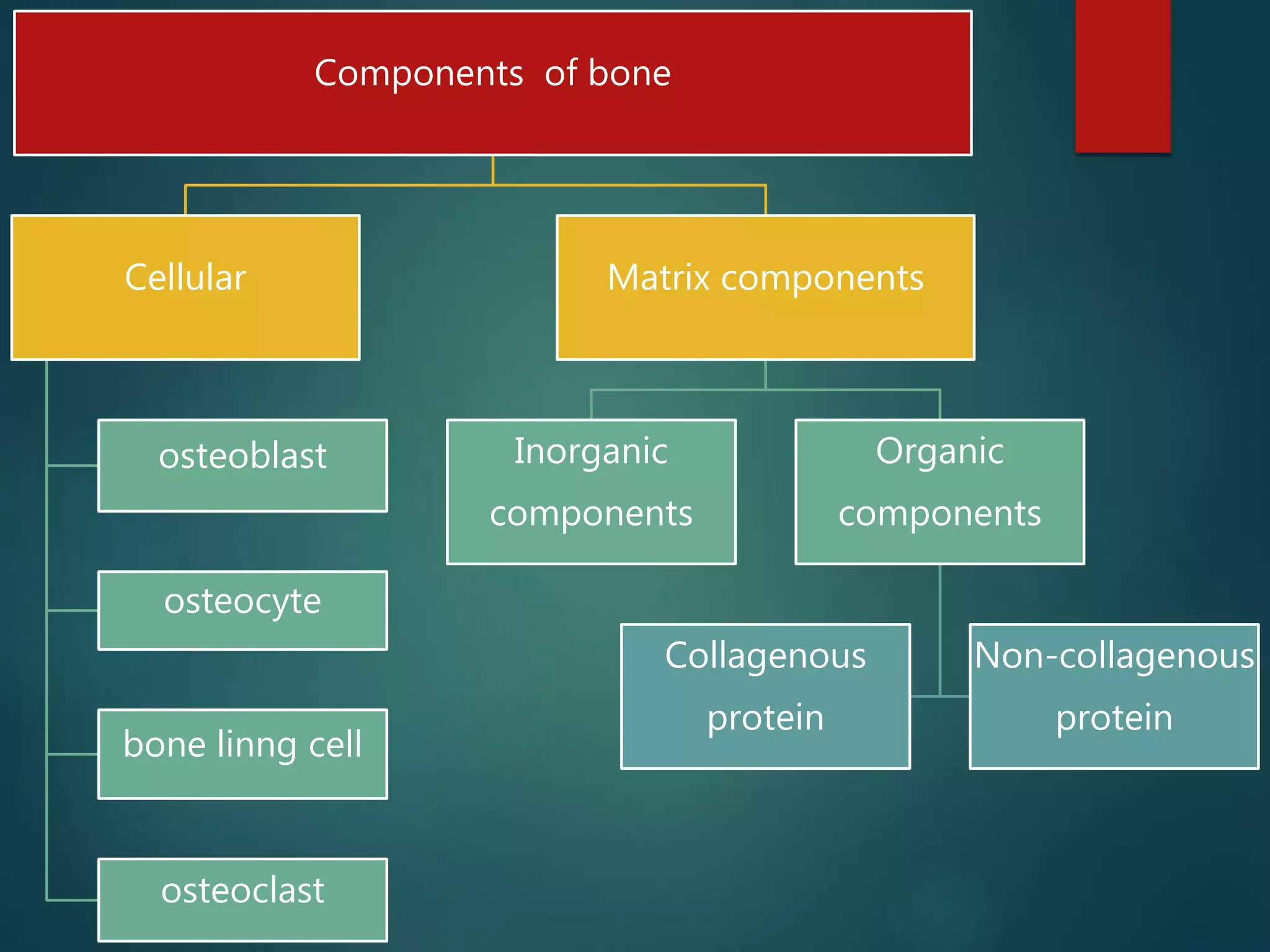 Alveolar bone | PPTX