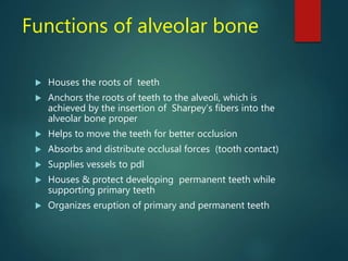 Alveolar bone | PPTX