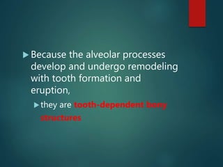 Alveolar bone | PPTX