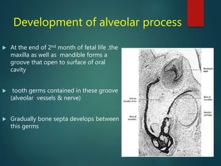 Alveolar bone | PPT