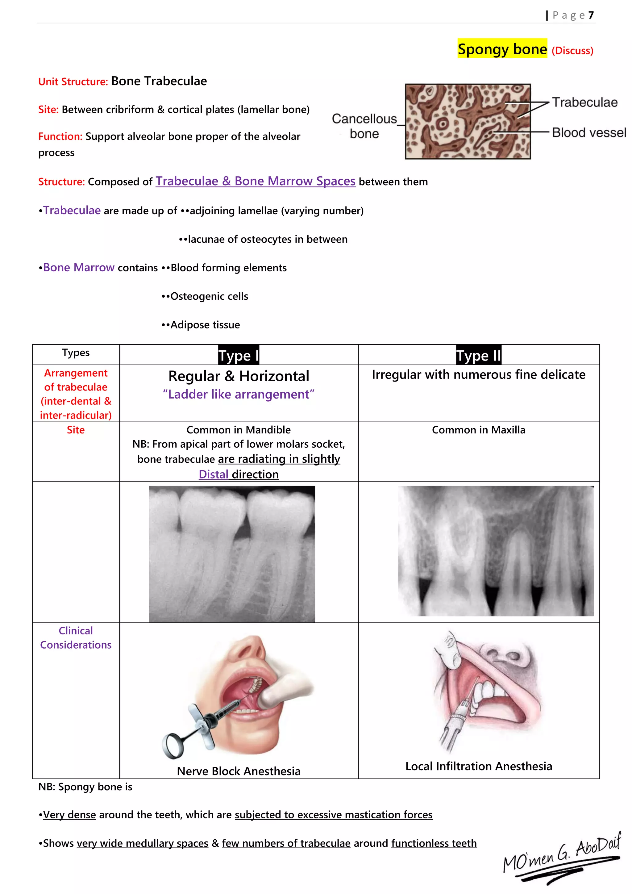 Handout of Alveolar bone Histology | PDF