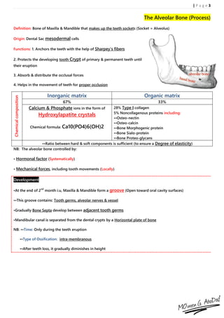 Handout of Alveolar bone Histology | PDF