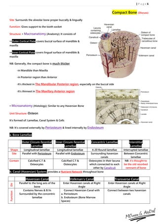 Handout of Alveolar bone Histology | PDF