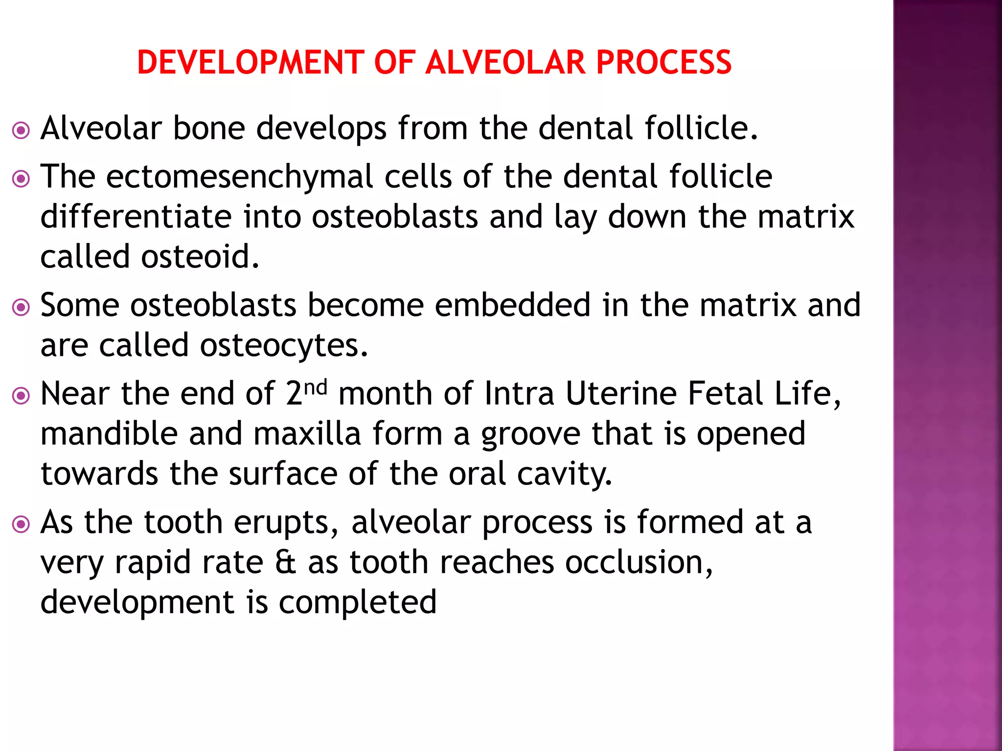 Alveolar bone | PPTX