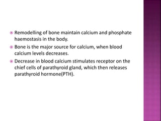 Alveolar bone | PPTX
