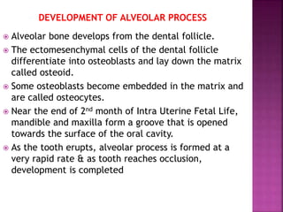 Alveolar bone | PPTX | Bone and Joint Conditions | Diseases and Conditions
