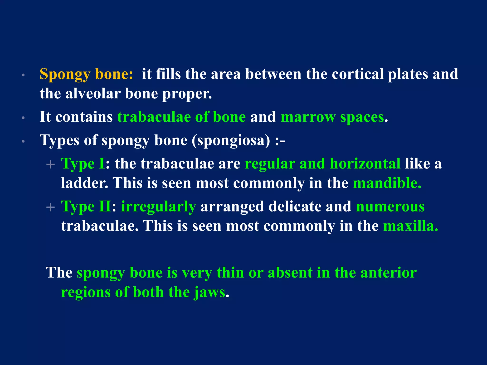Alveolar bone | PPTX