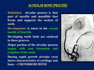 Alveolar bone | PPTX | Bone and Joint Conditions | Diseases and Conditions