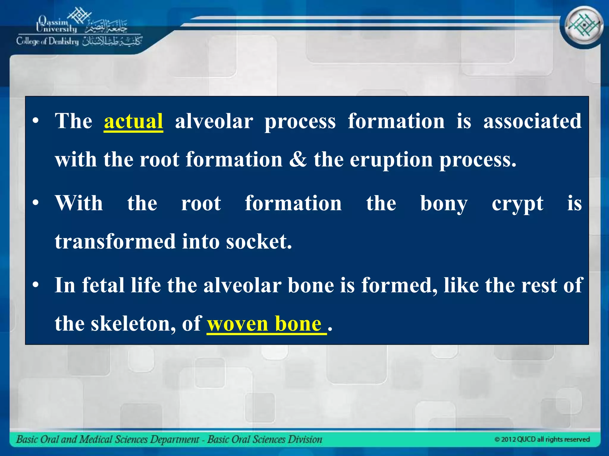 Alveolar bone | PPT