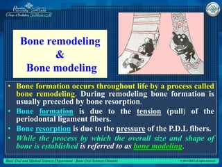 Alveolar bone | PPTX