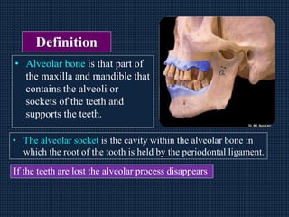 Alveolar bone | PPT