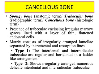 Alveolar bone | PPTX