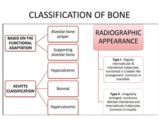 Alveolar bone | PPTX