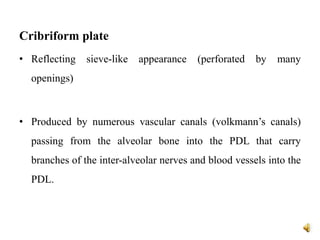 Alveolar bone | PPTX