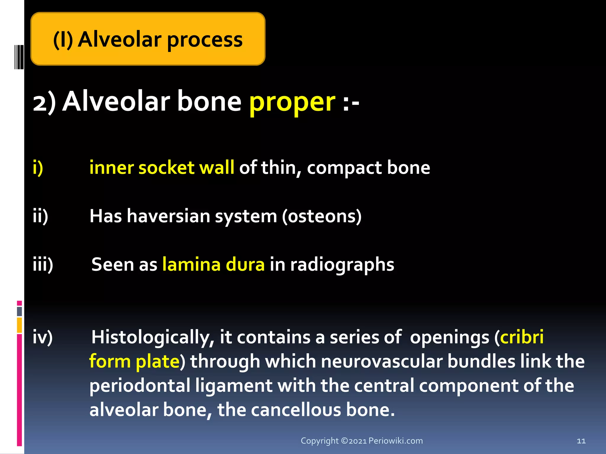 Alveolar bone | PPTX
