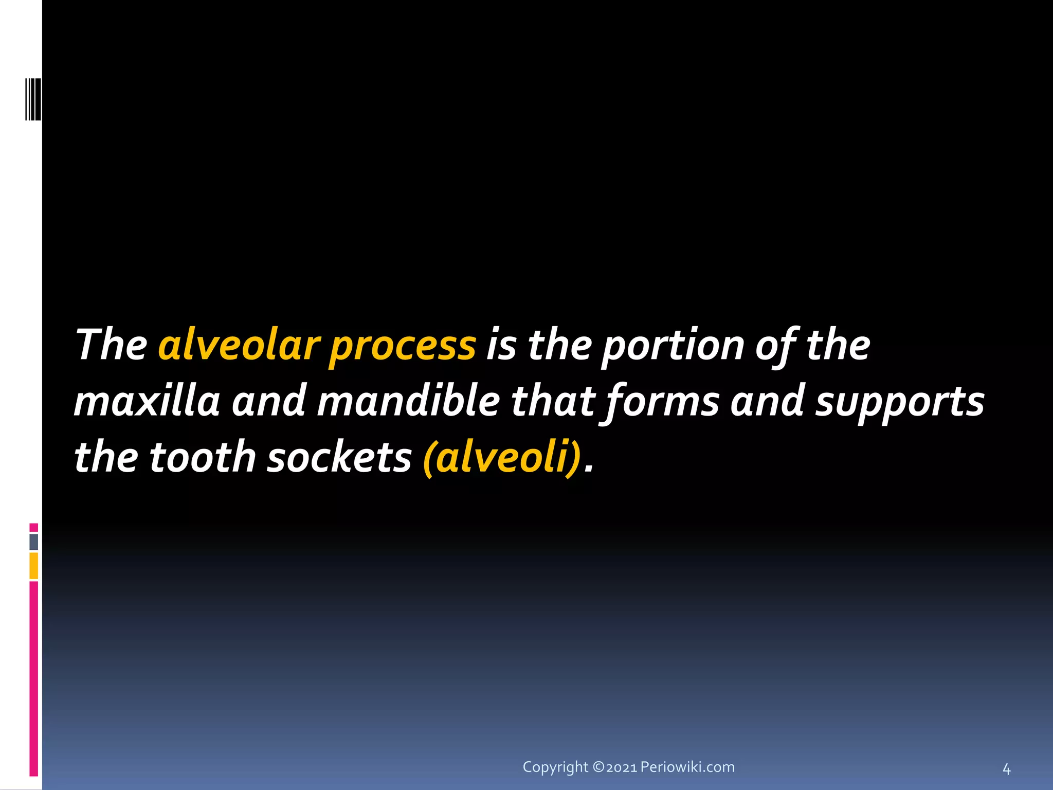 Alveolar bone | PPTX