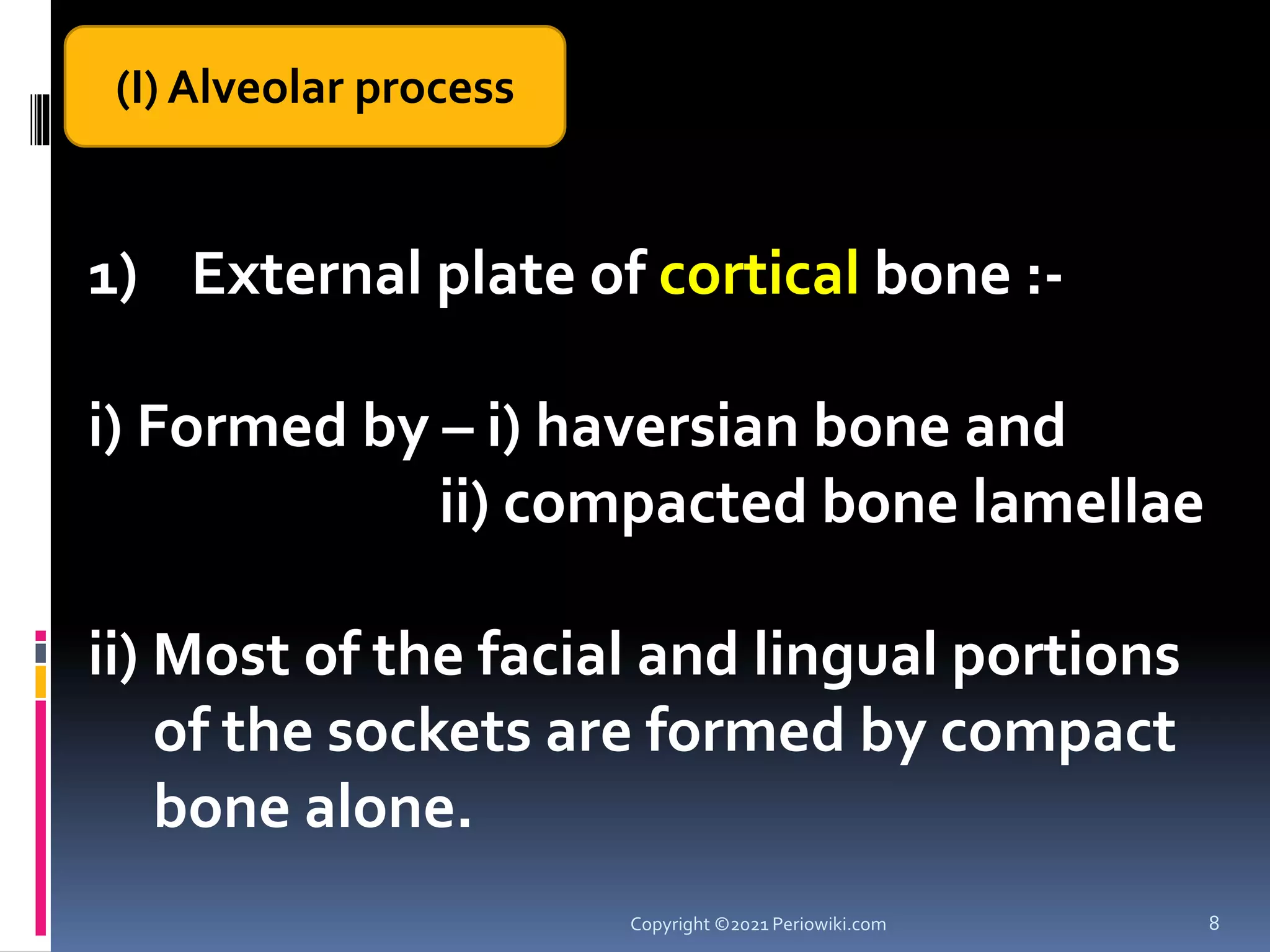 Alveolar bone | PPTX