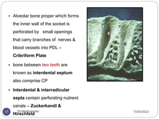 alveolar bone.pptx