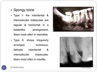 alveolar bone.pptx