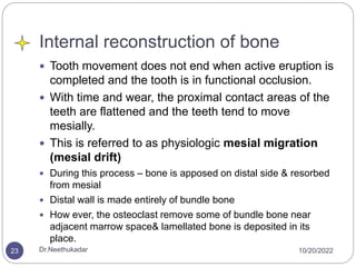 alveolar bone.pptx