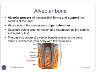 alveolar bone.pptx