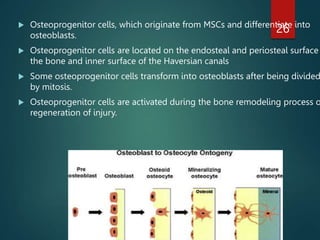 Alveolar Bonepptx