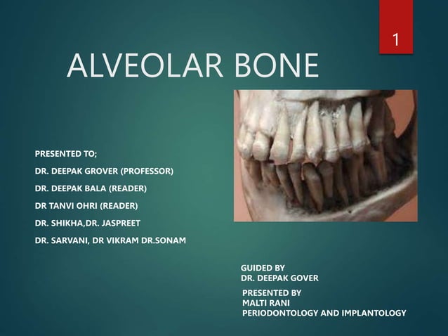 Alveolar bone.pptx