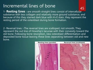 Alveolar bone.pptx