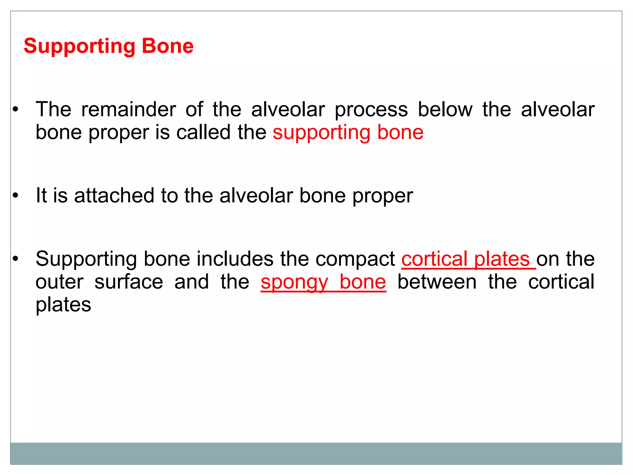 Alveolar bone.ppt