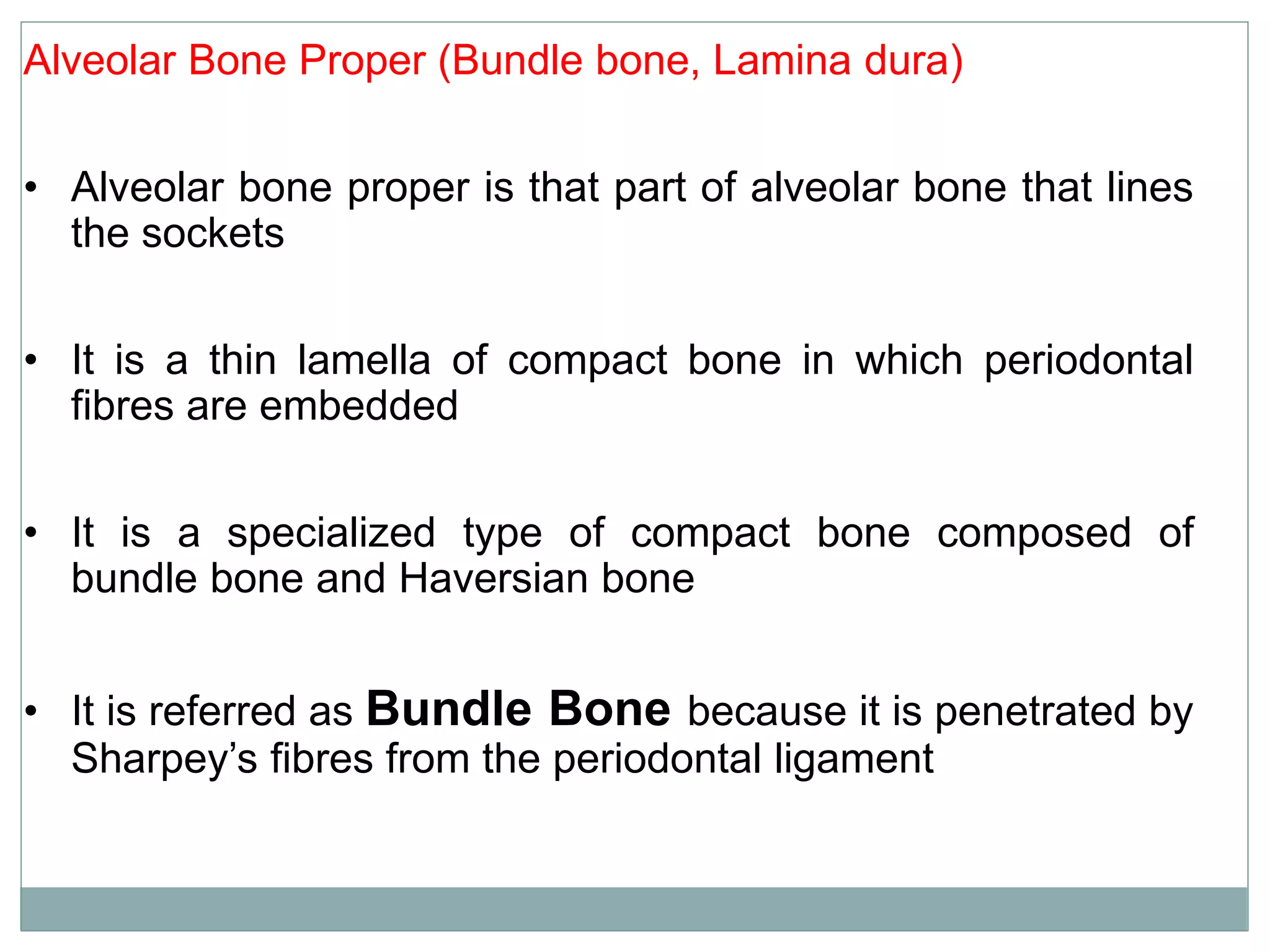 Alveolar bone.ppt