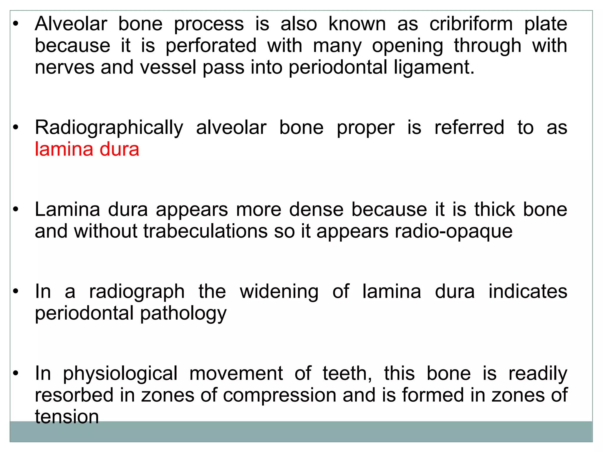 Alveolar bone.ppt