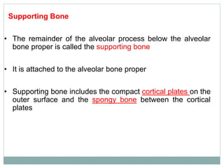 Alveolar bone.ppt