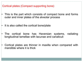 Alveolar bone.ppt