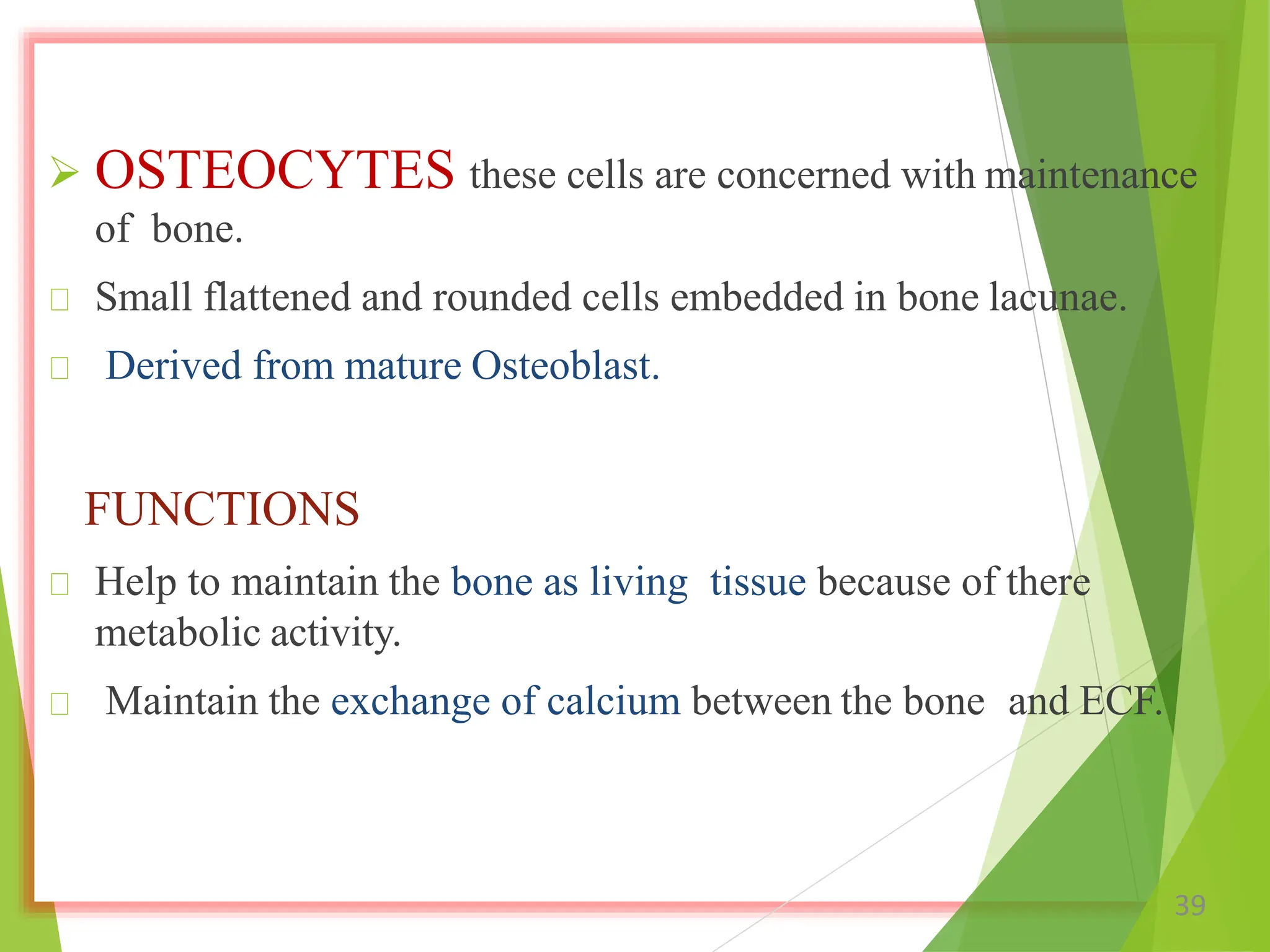 Alveolar bone of Human with its clinical considerations | PPTX