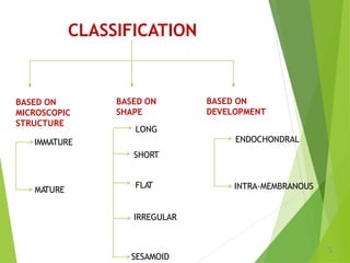 Alveolar bone of Human with its clinical considerations | PPTX