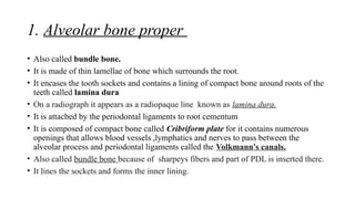 ALVEOLAR BONE.pptx. to all dental hygiene | PPTX